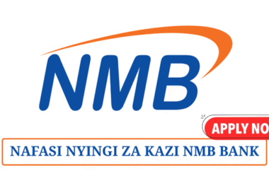 Job Opportunities at NMB Bank Tanzania 2025