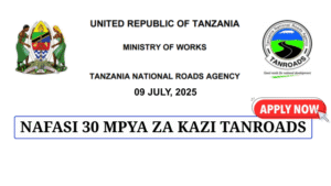 TANROADS 30 New Vacancies July 2025